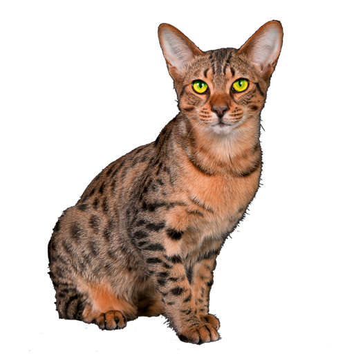 Soul Boundary - A guilt-ridden scientist leaves Earth behind